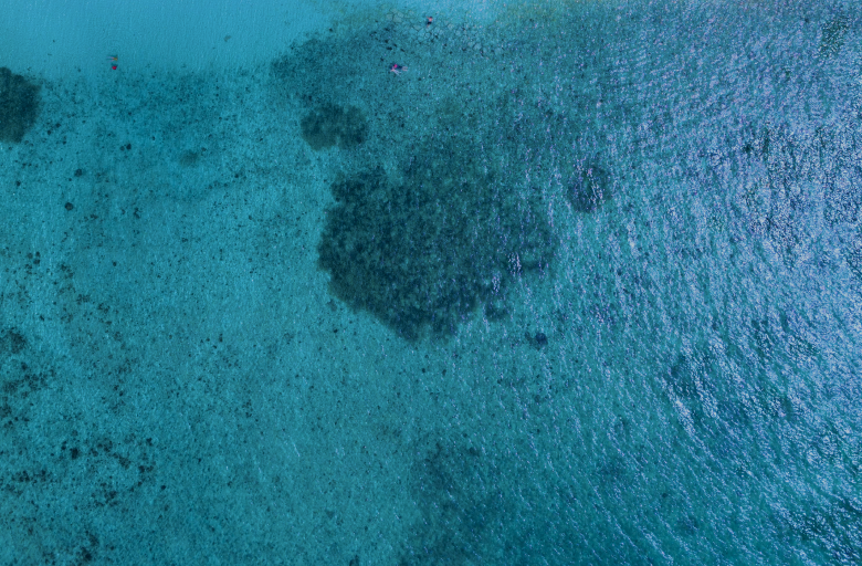 The Fiji – Molly and Stitch GmbH